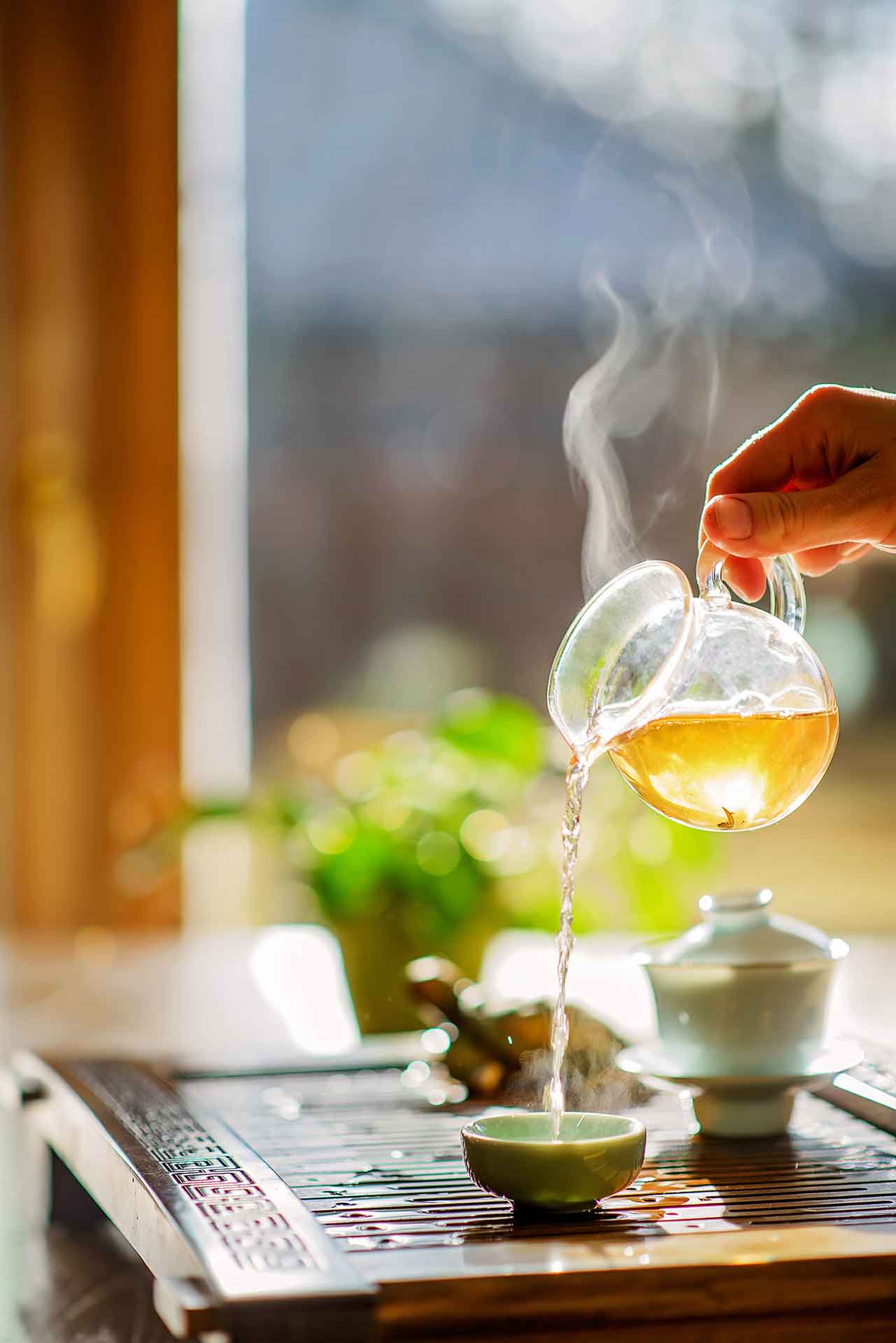 ¡Pi Lo Chun!: entre los más grandes tés de China