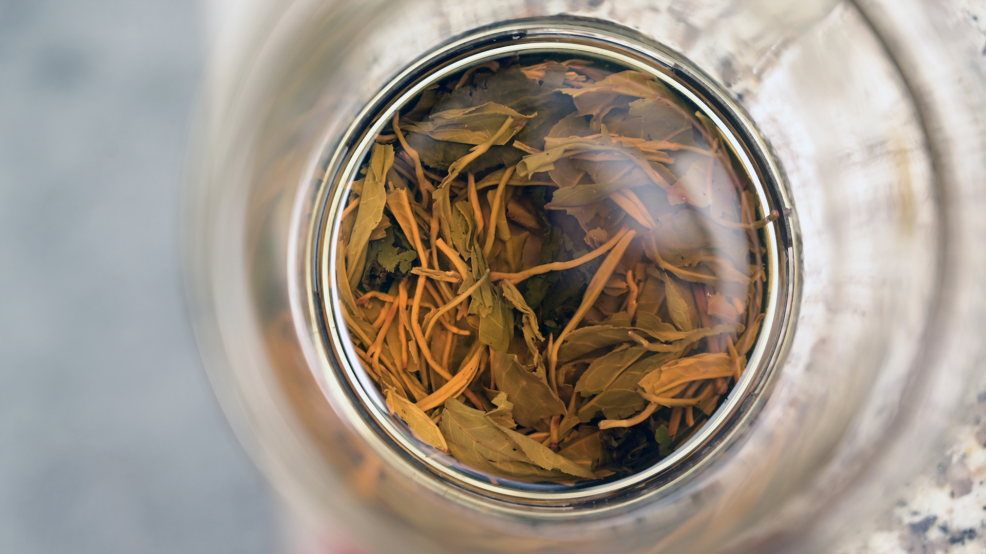 Té cold brew: ¡te decimos cómo prepararlo!