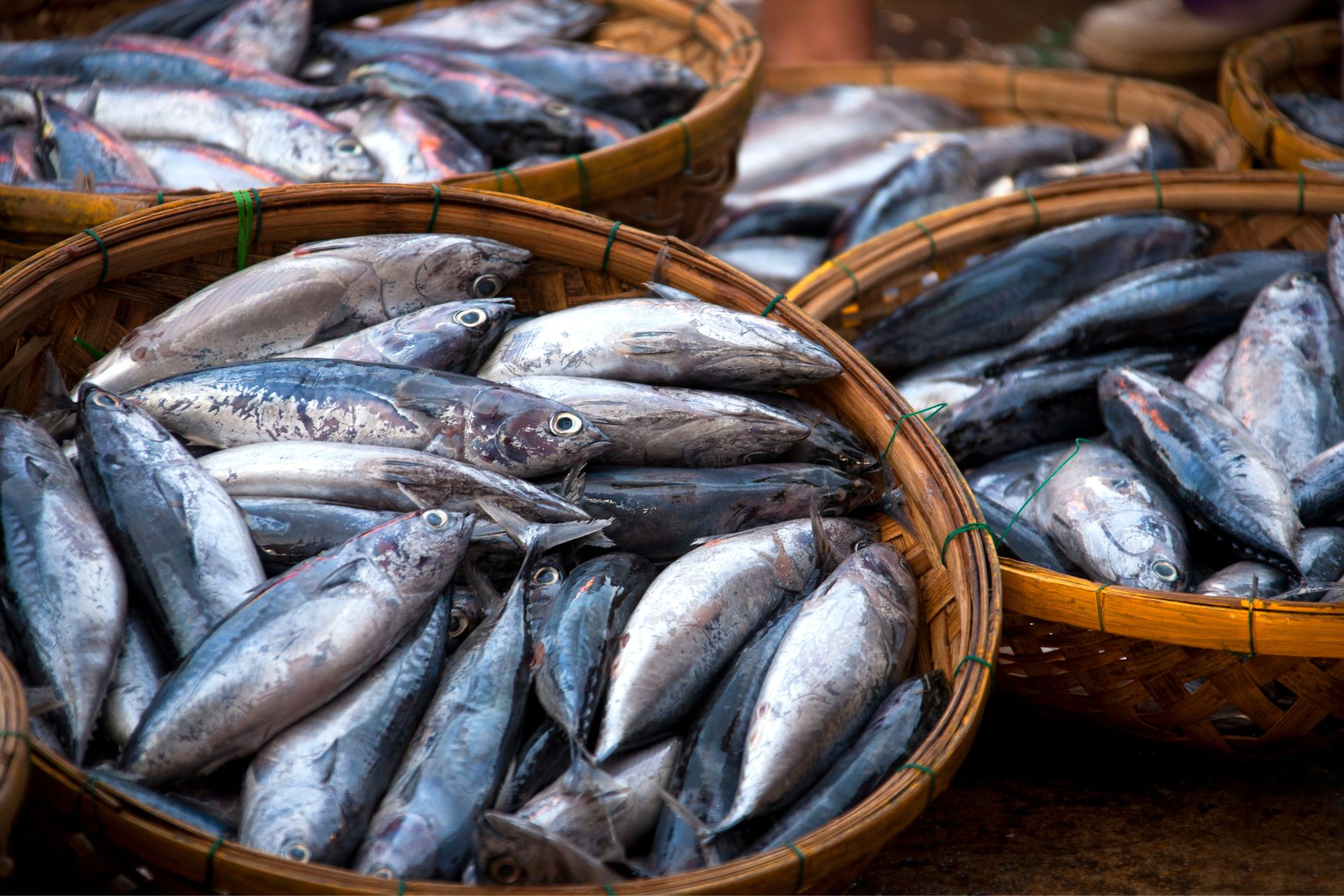 atún | Food and Travel México