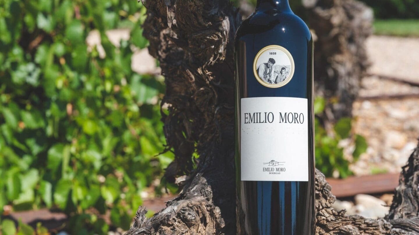 Bodegas Emilio Moro: 4 vinos españoles que te flecharán