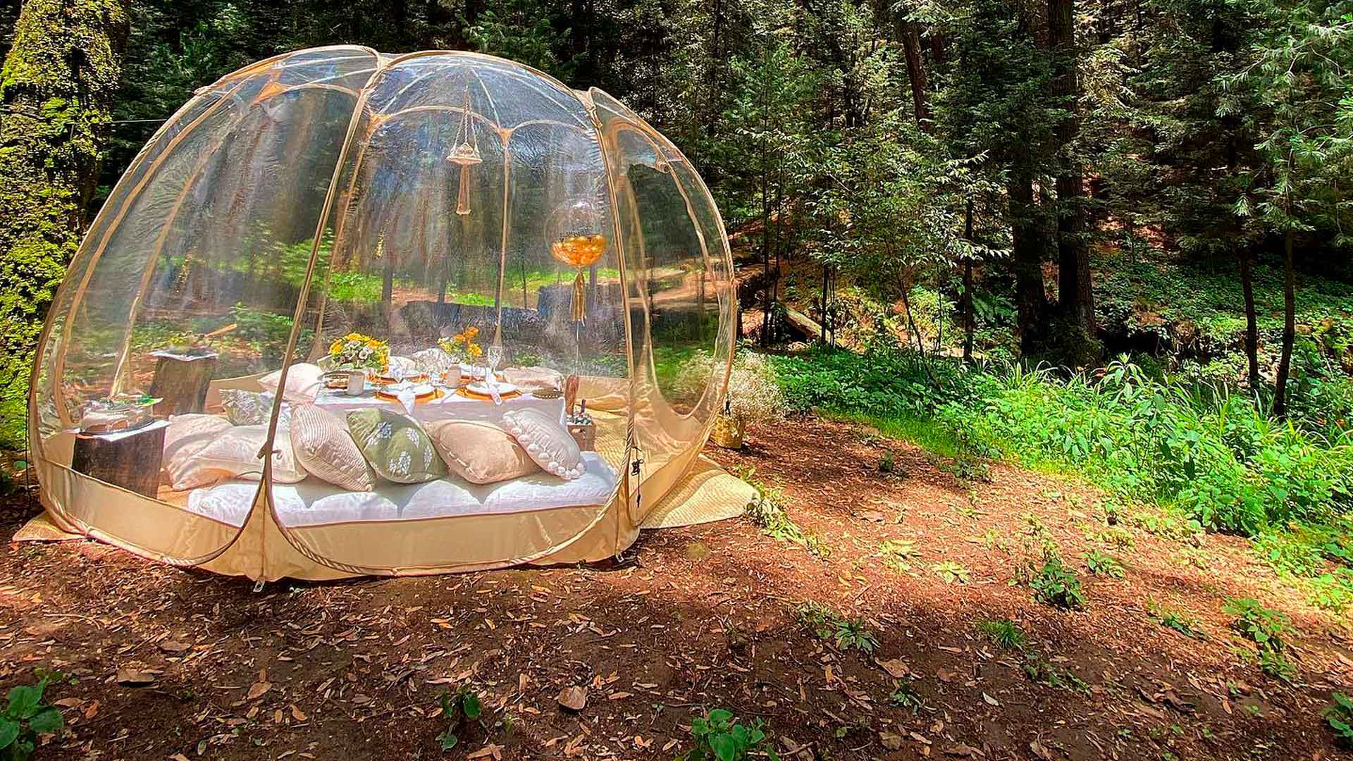 ¿Ya conoces la nueva tendencia Bubble Picnic?