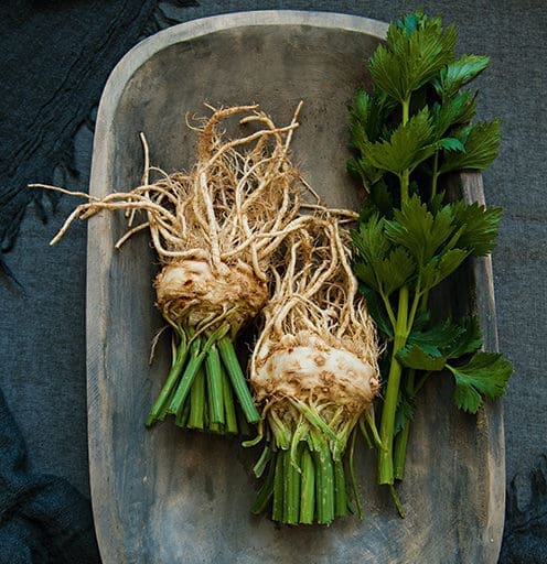 Apionabo, raíz de delicado sabor