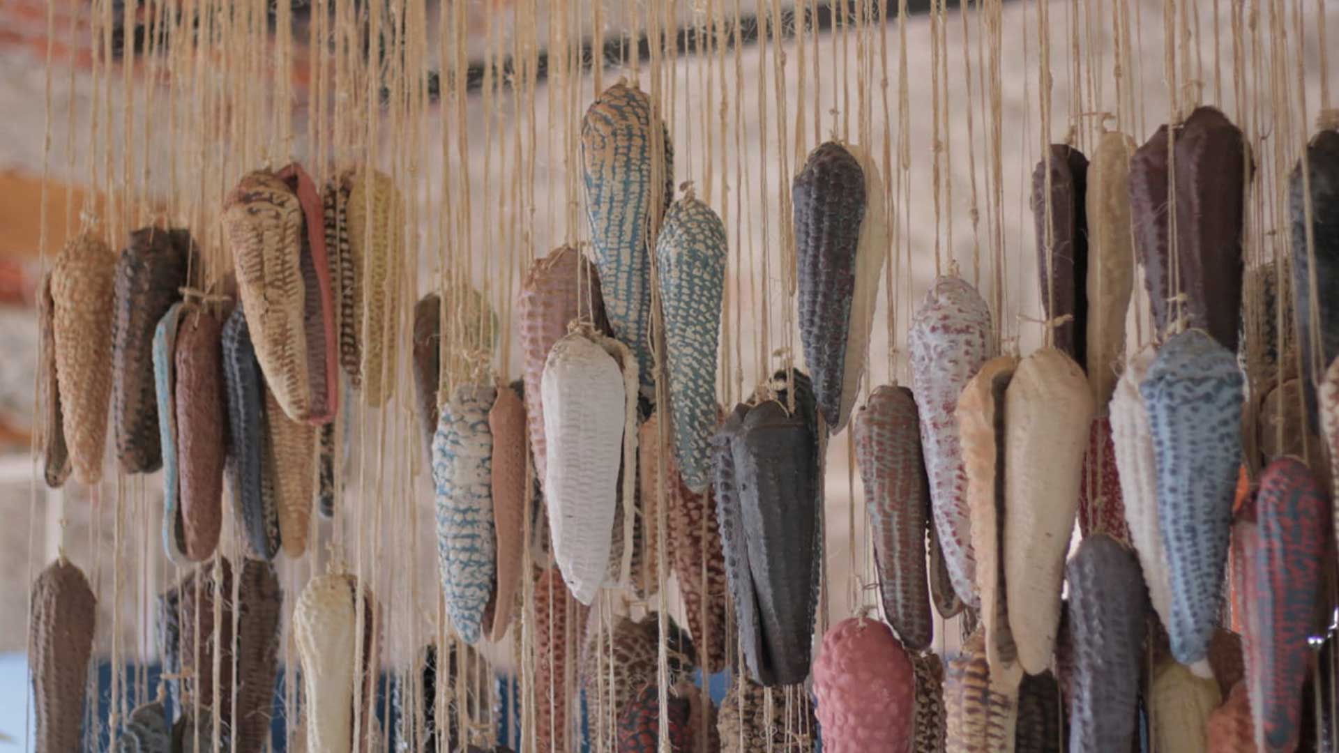 Visita Cencalli, el nuevo museo del maíz y la cultura alimentaria