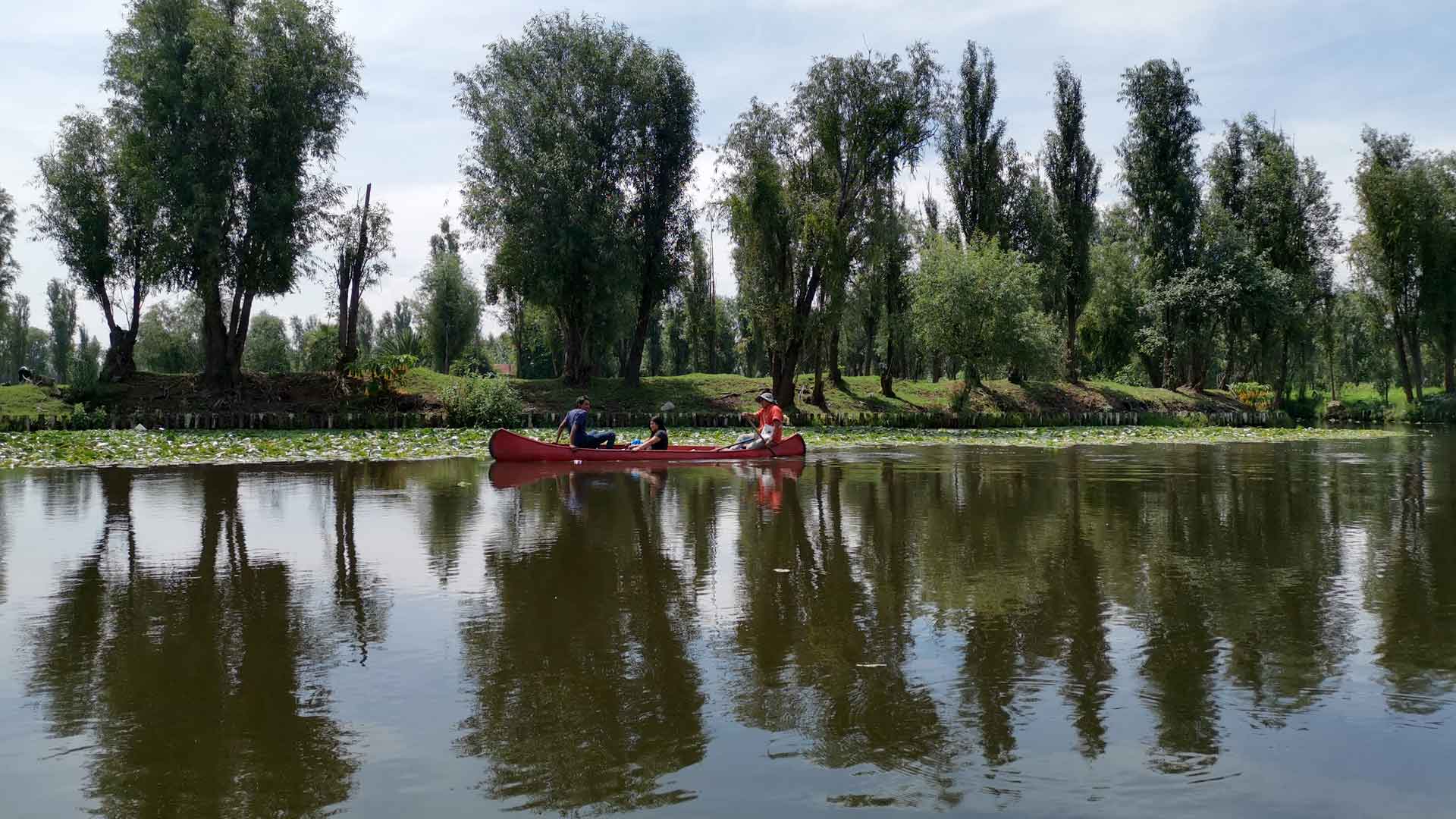 Agricultura ecológica en las Chinampas de Xochimilco