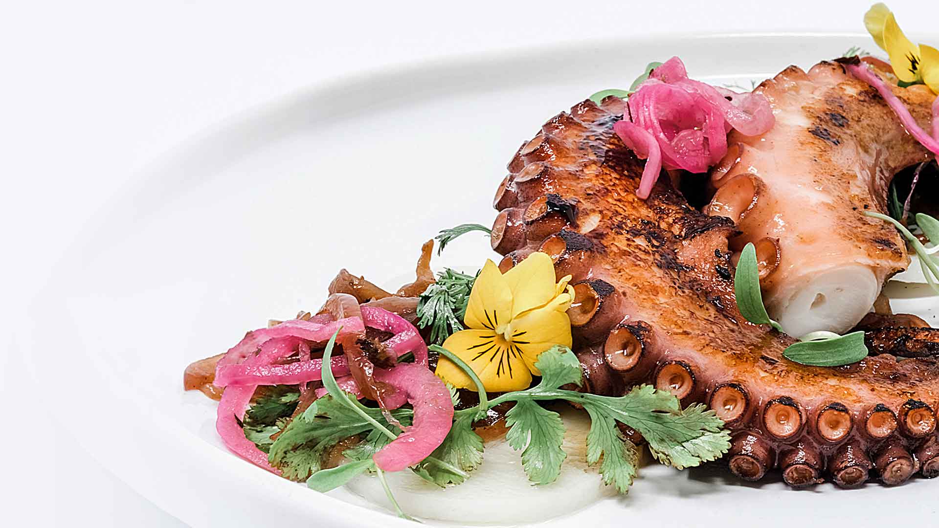 Cosa Mia Ristorante, bocados de Italia