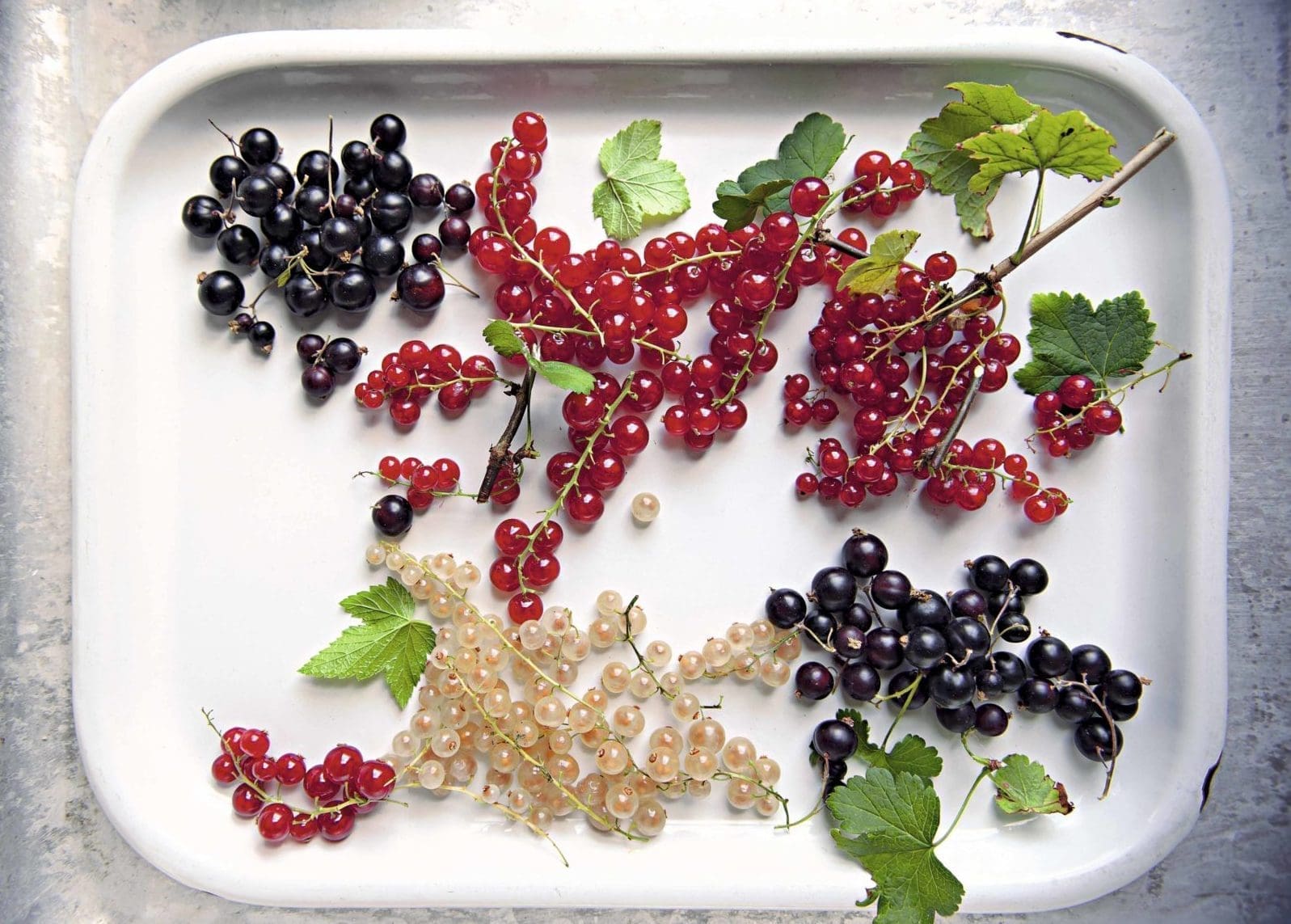 Grosellas, perlas de agridulce sabor