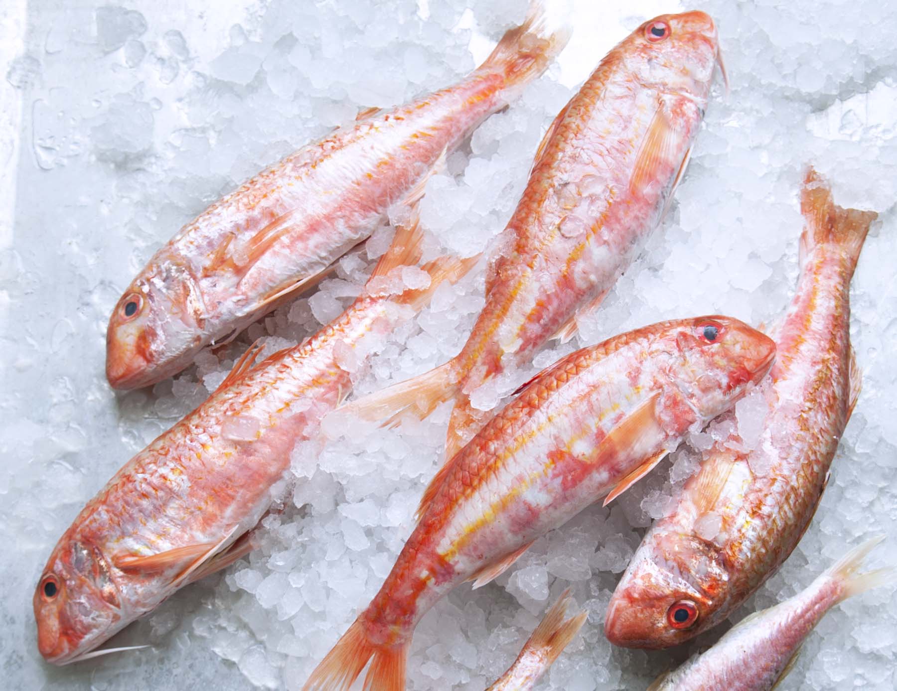 Salmonete, el sabor dulce del mar