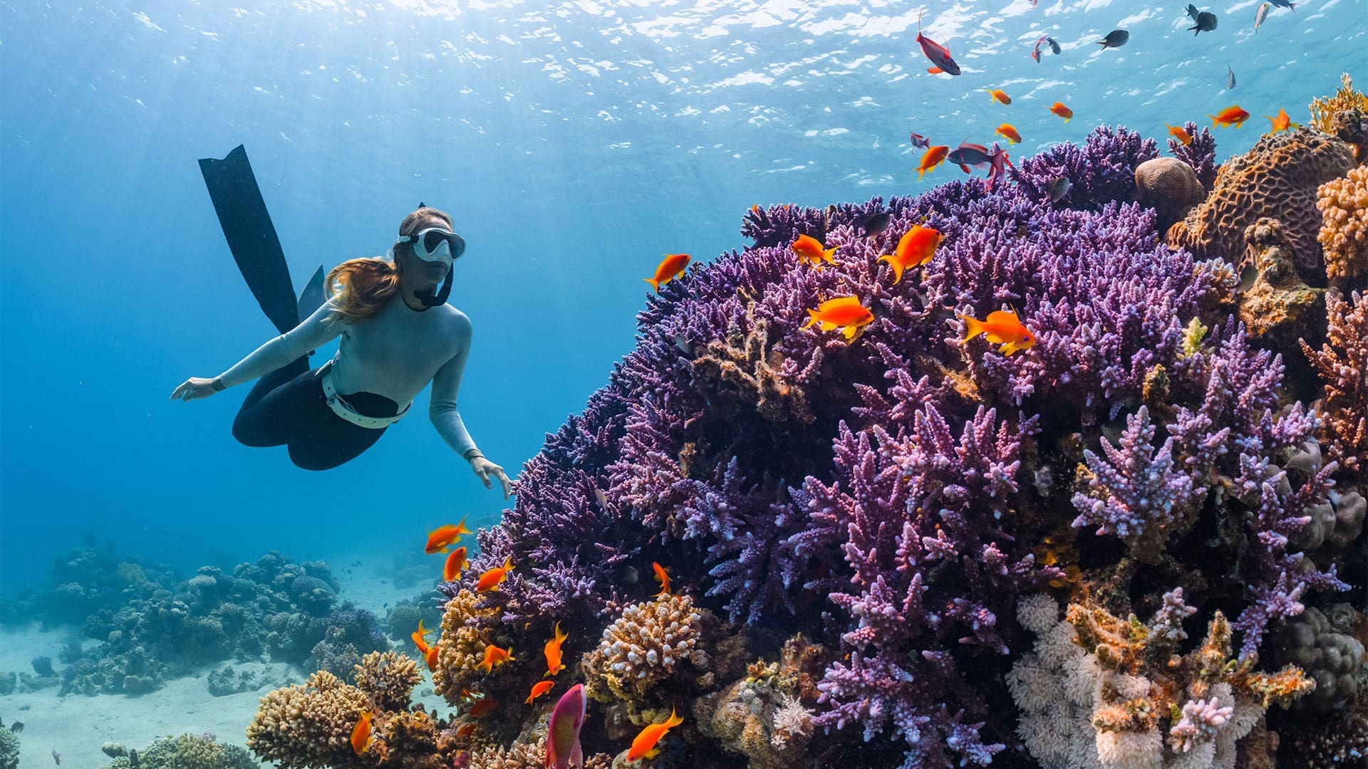 5 destinos para bucear y explorar las profundidades del mar