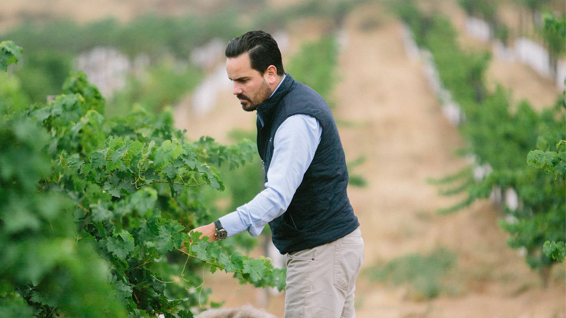 Hans Backhoff ante el 43º Congreso Mundial de la Viña y el Vino