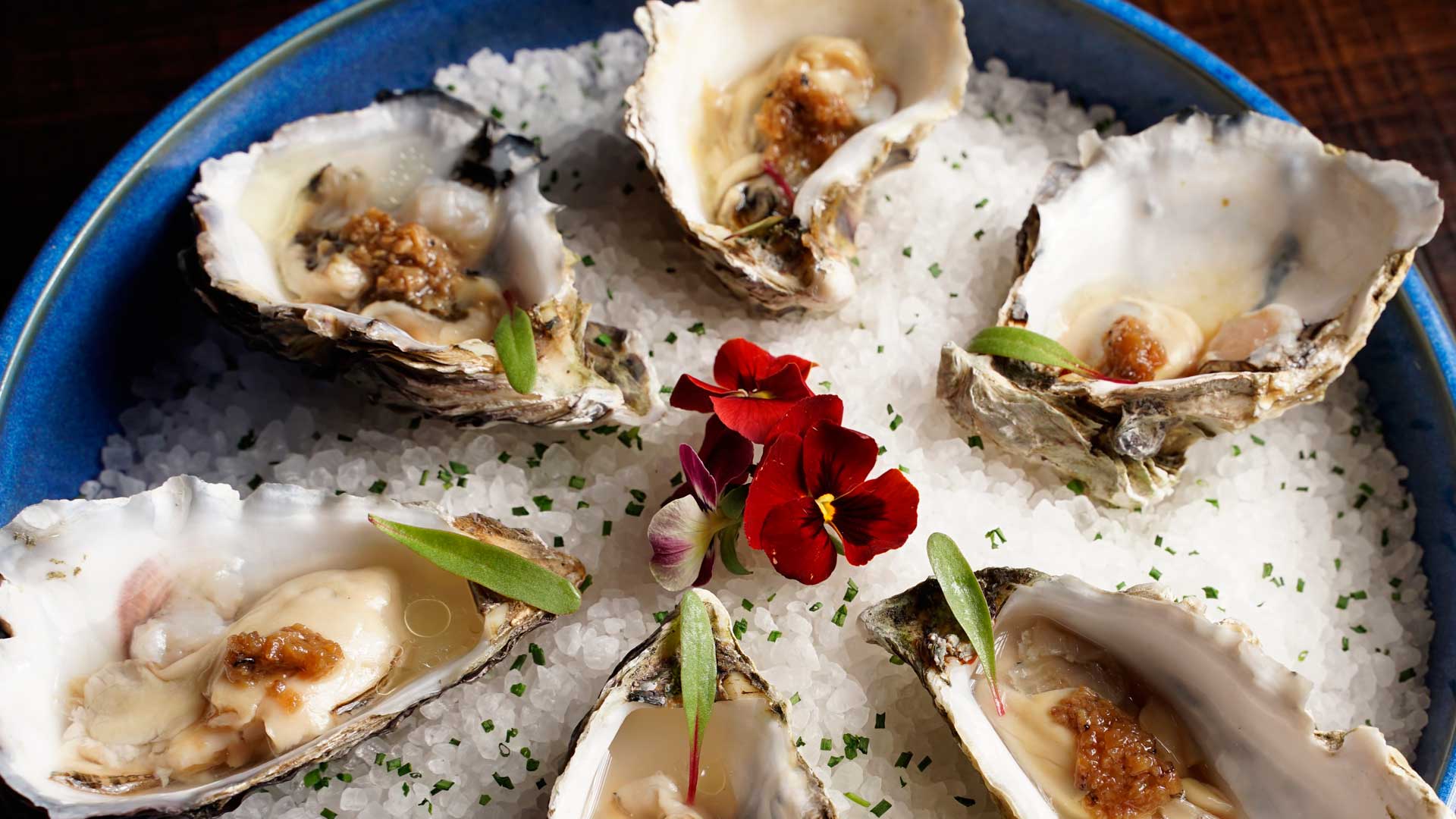 5 razones para conocer The Lower Deck