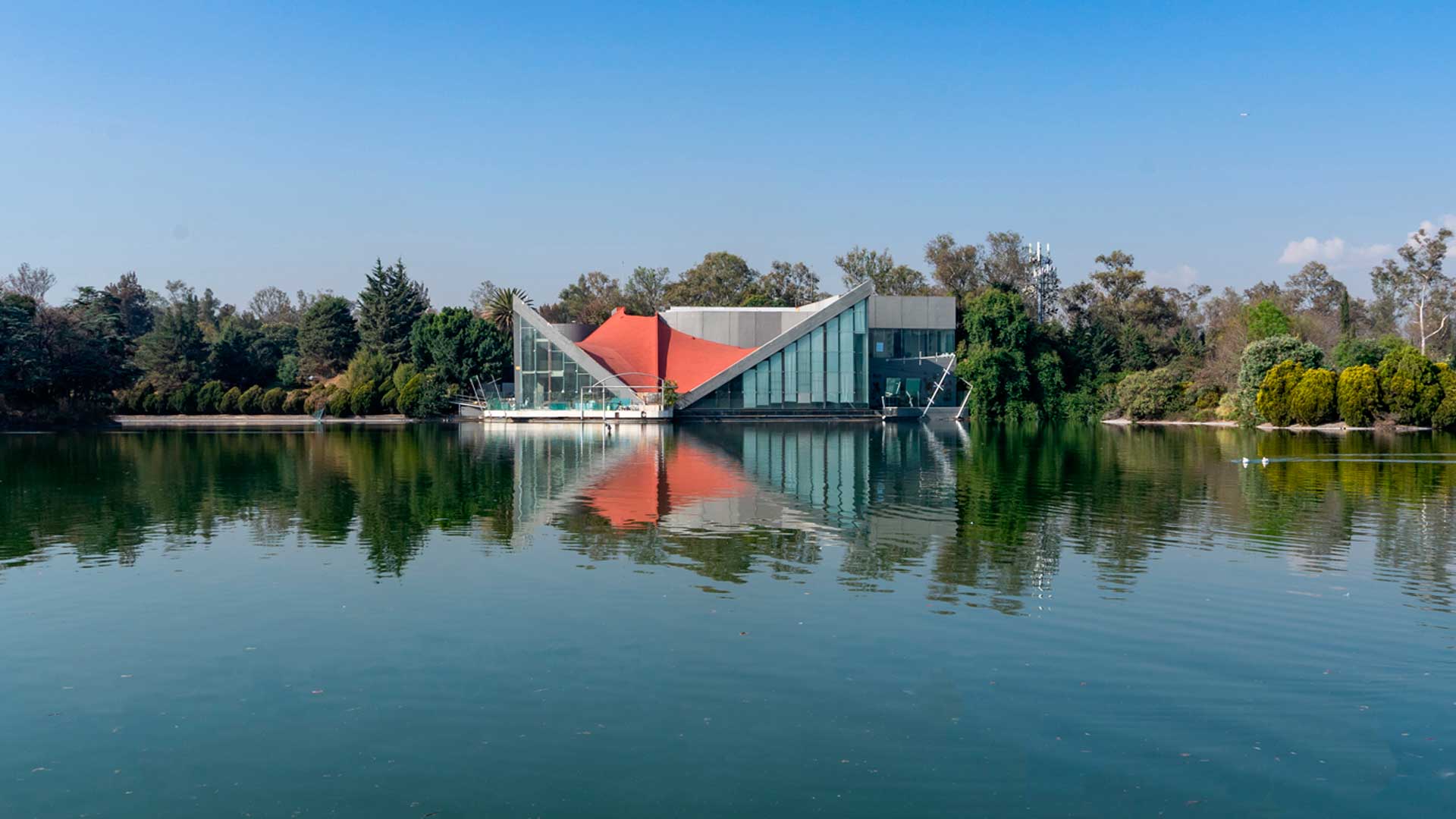 Lago, conoce su nueva propuesta basada en el producto