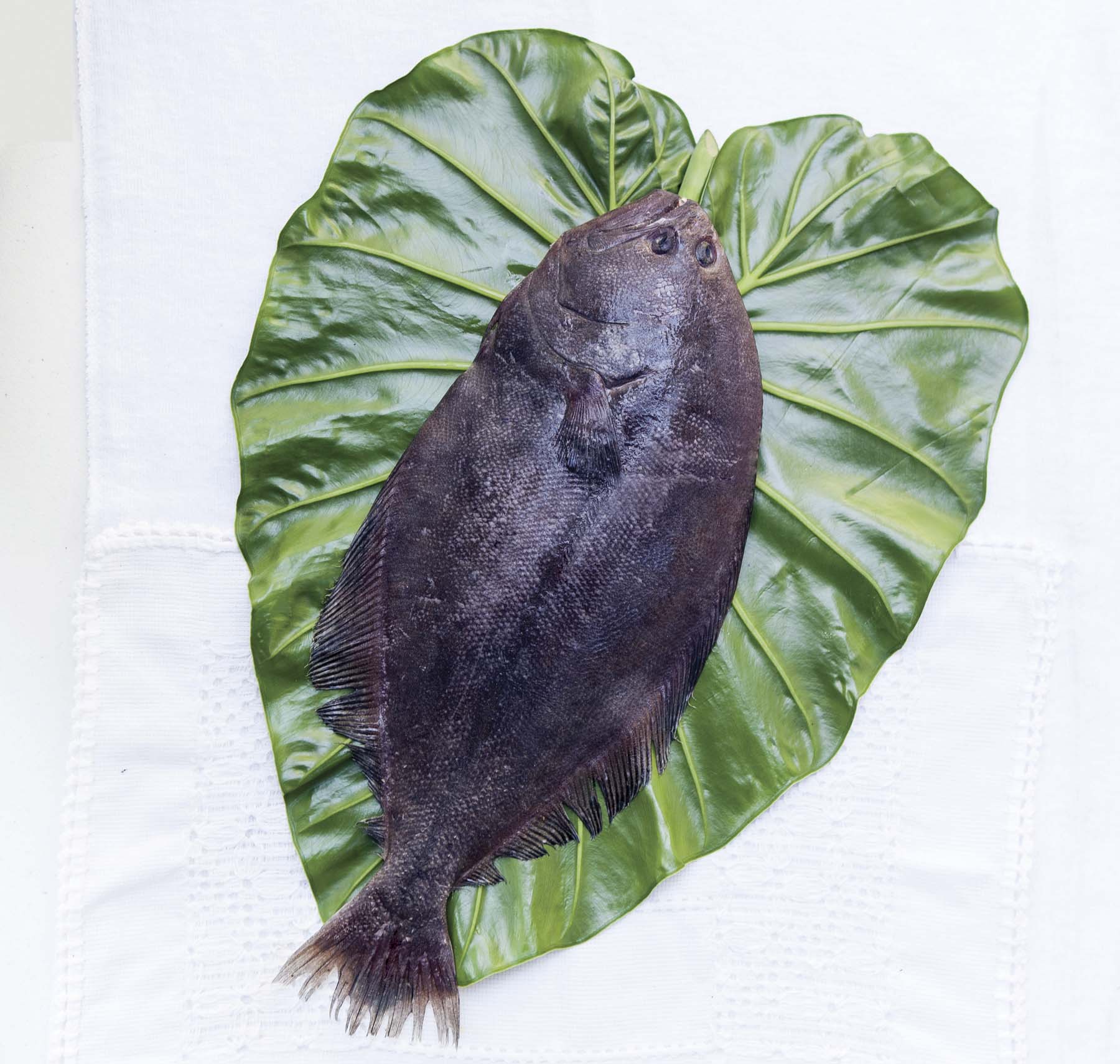 Lenguado, delicia insólita