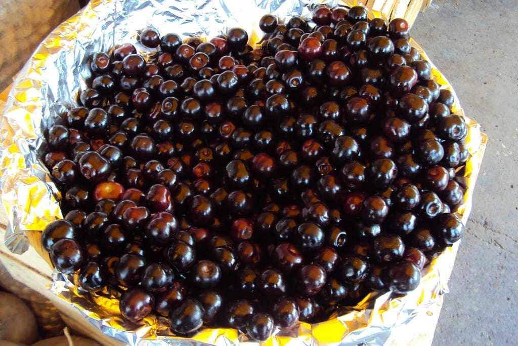 Bebidas mexicanas poco comunes