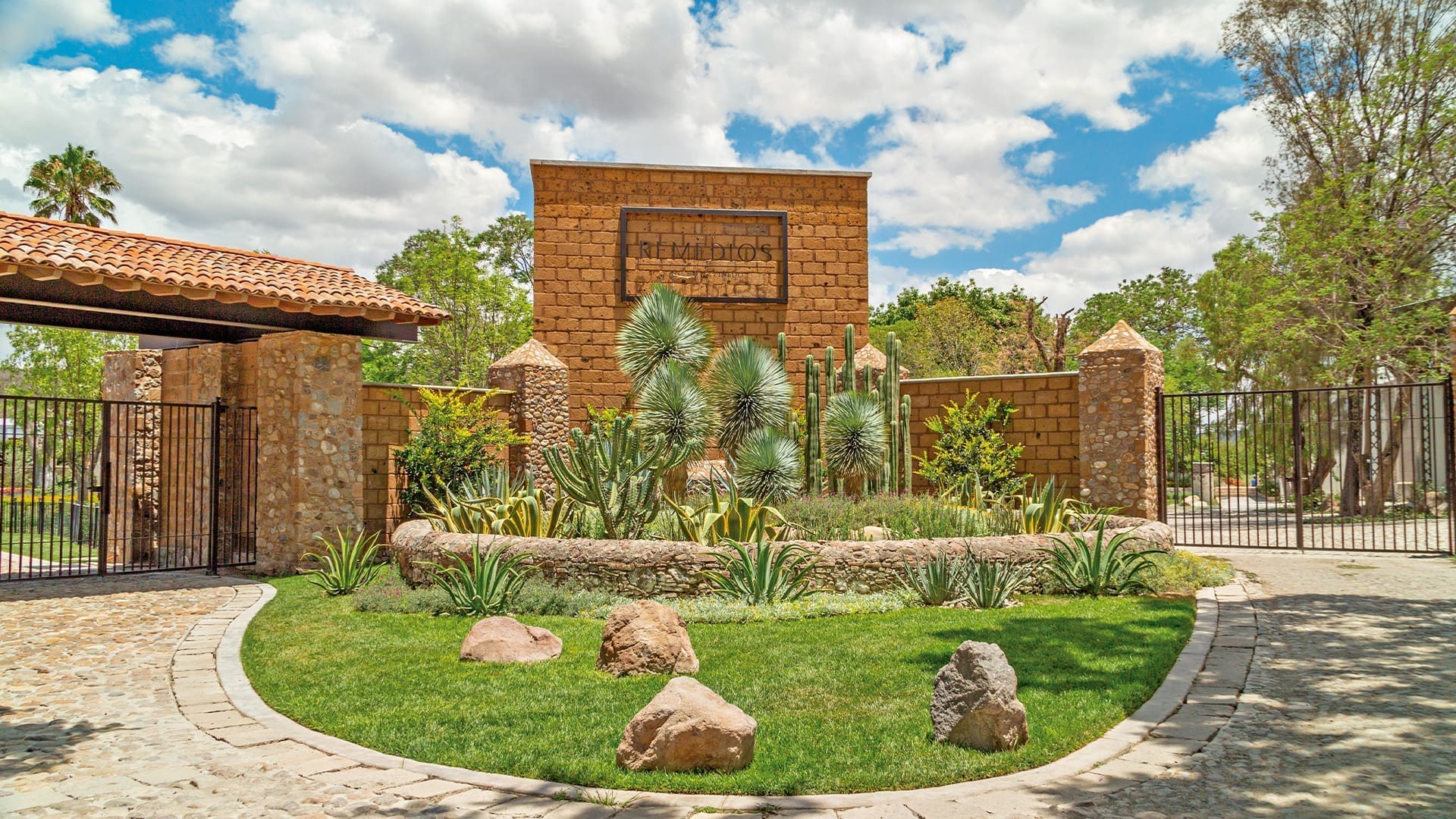 Los Remedios: un viñedo para vivir la buena vida cerca de San Miguel de ...