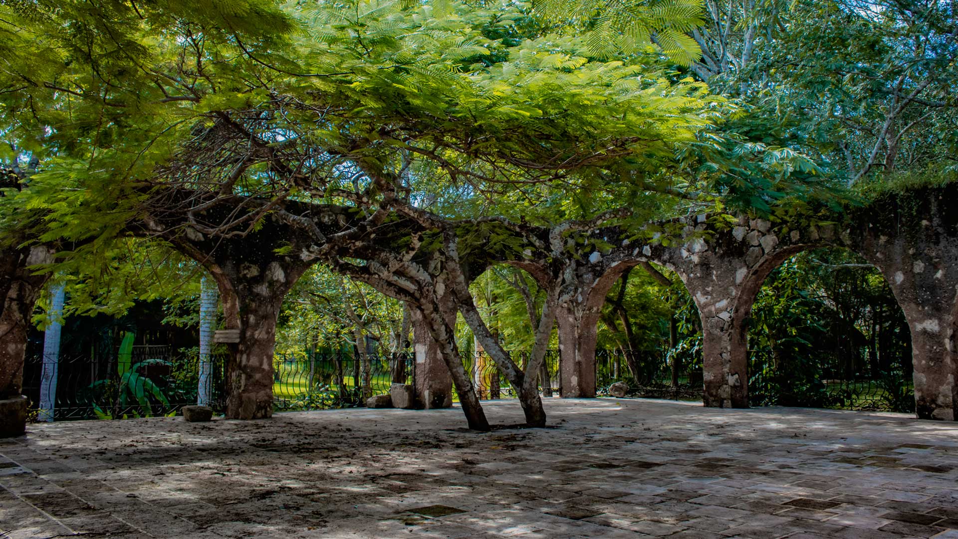 Hotel Oriundo: un lugar para enamorarse de Valladolid, Yucatán