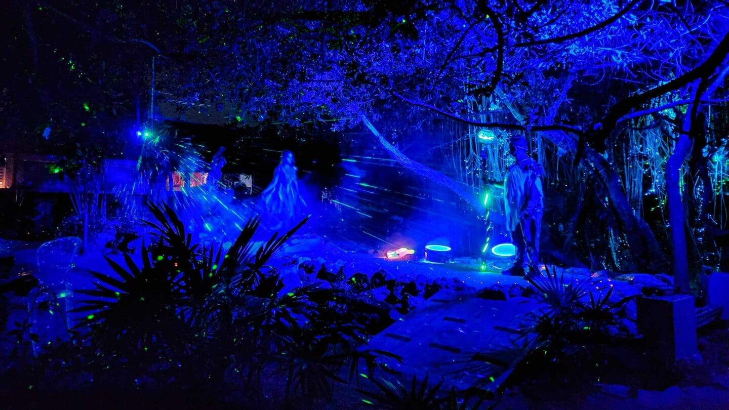 Pandora Luminescence es la experiencia imperdible en Holbox
