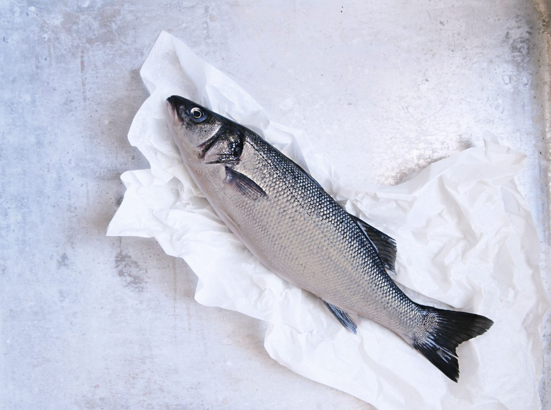 Robalo, de sabor veraniego