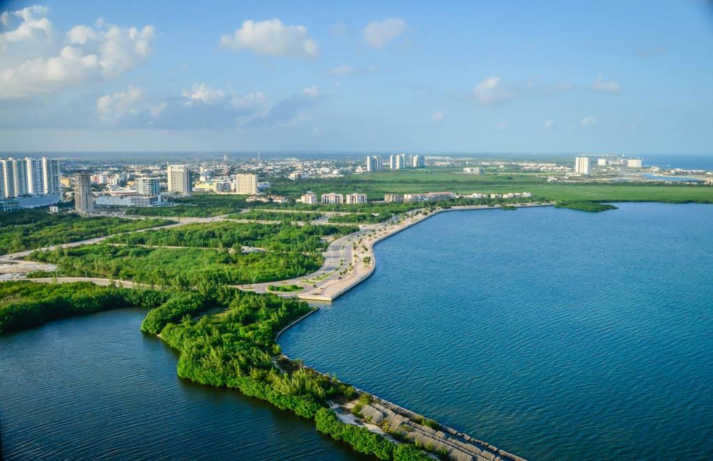 ¿Cómo era el Manglar de Tajamar?