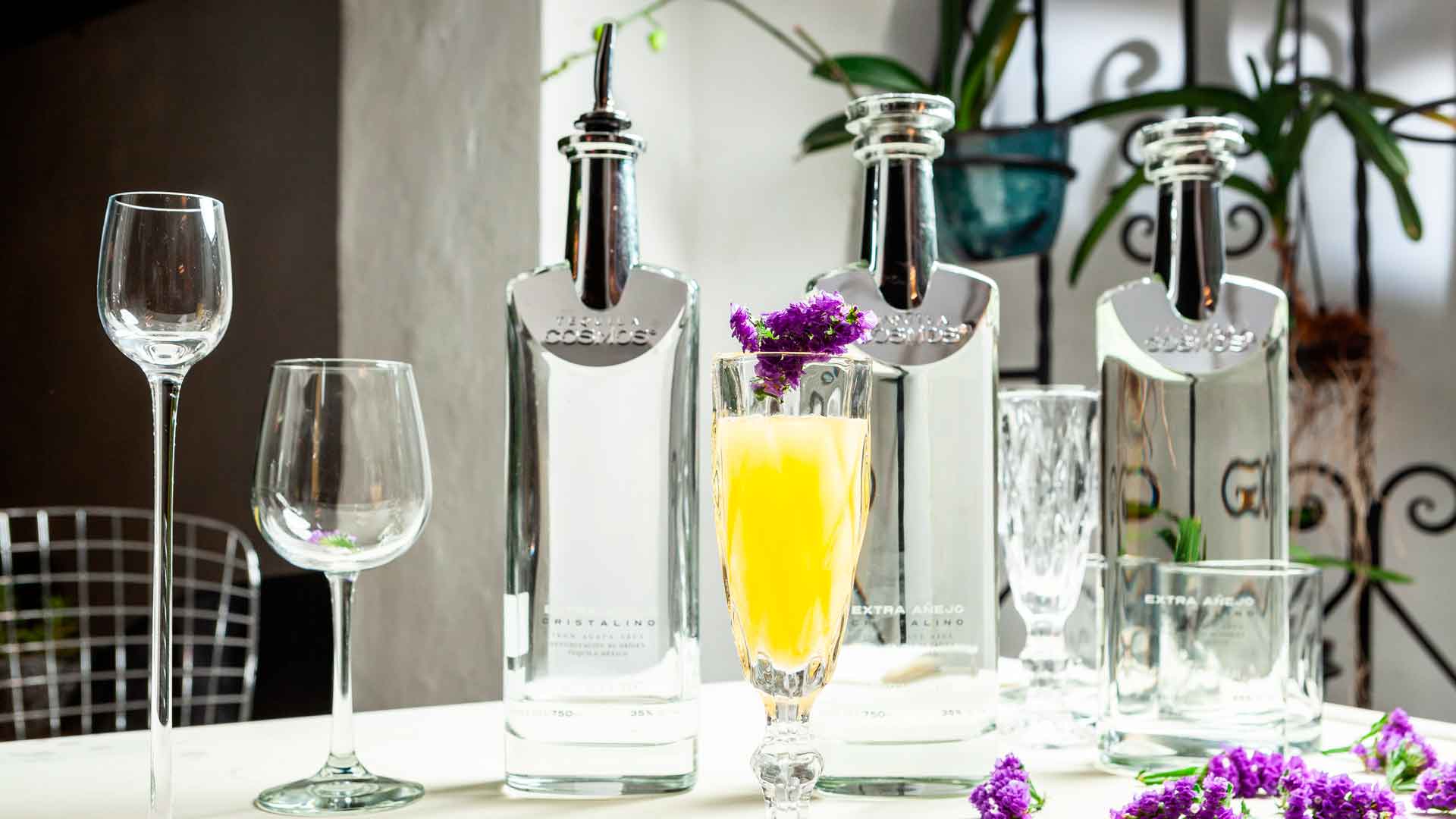 Tequila Cosmos, un regalo al paladar