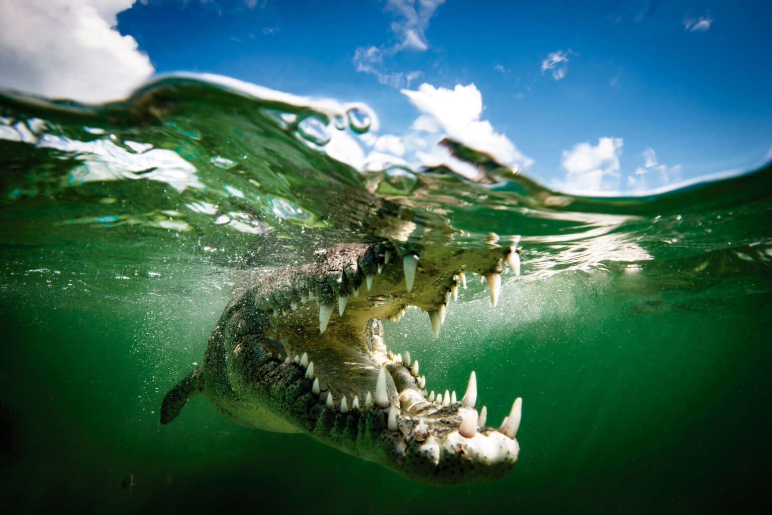 Emma Lozano: la fotógrafa mexicana que inmortaliza instantes