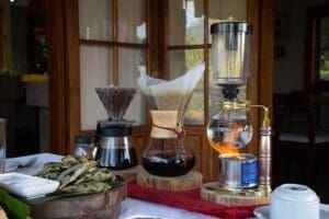 Lo que tienes que saber antes de explorar el Soconusco chiapaneco