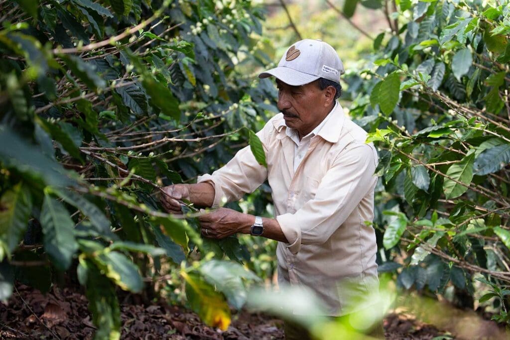 Lo que tienes que saber antes de explorar el Soconusco chiapaneco