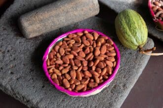 Lo que tienes que saber antes de explorar el Soconusco chiapaneco