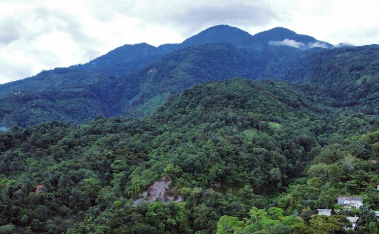 Lo que tienes que saber antes de explorar el Soconusco chiapaneco
