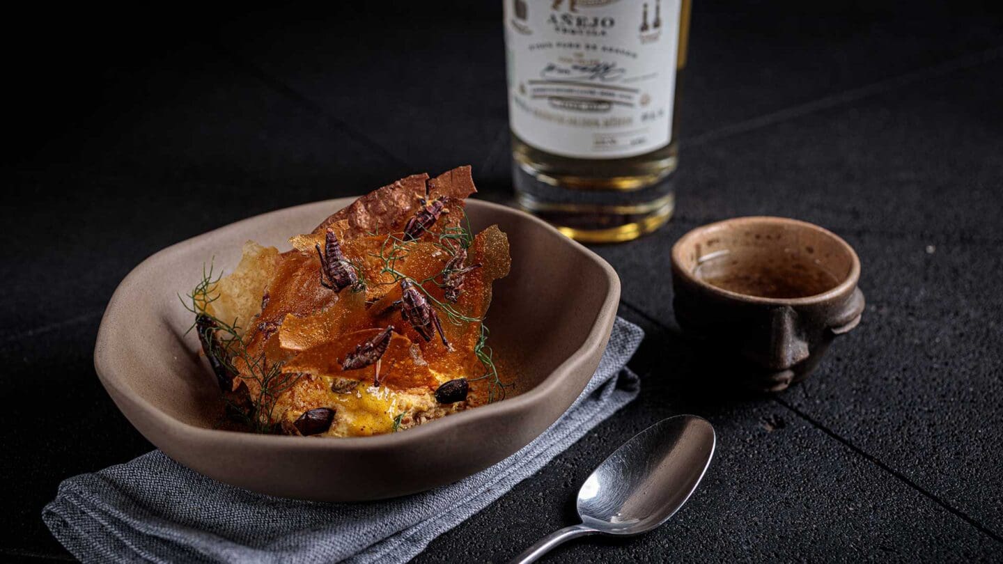 Bichos al plato: deliciosas (y crujientes) recetas con insectos