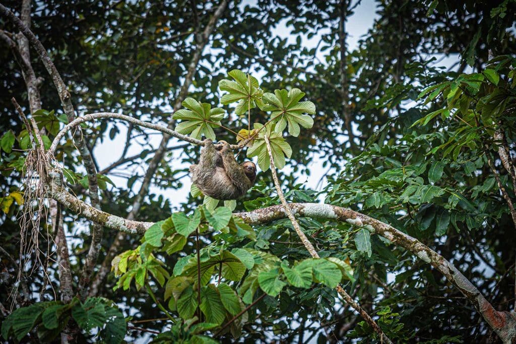 Parque Nacional Volcán Arenal | Food and Travel México