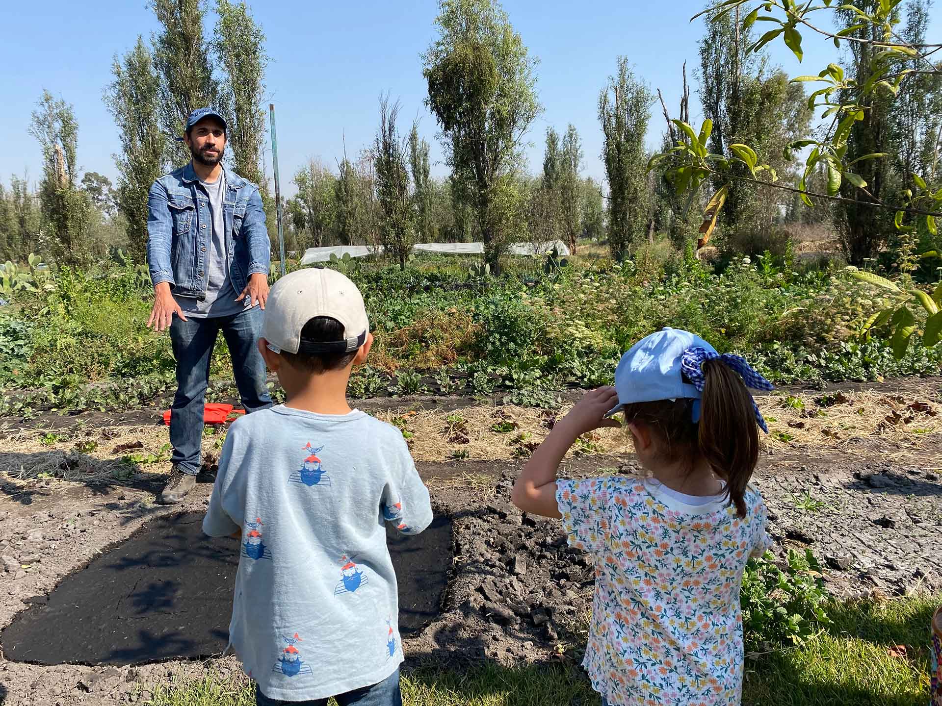 Chinampas de Xochimilco: agricultura para niños