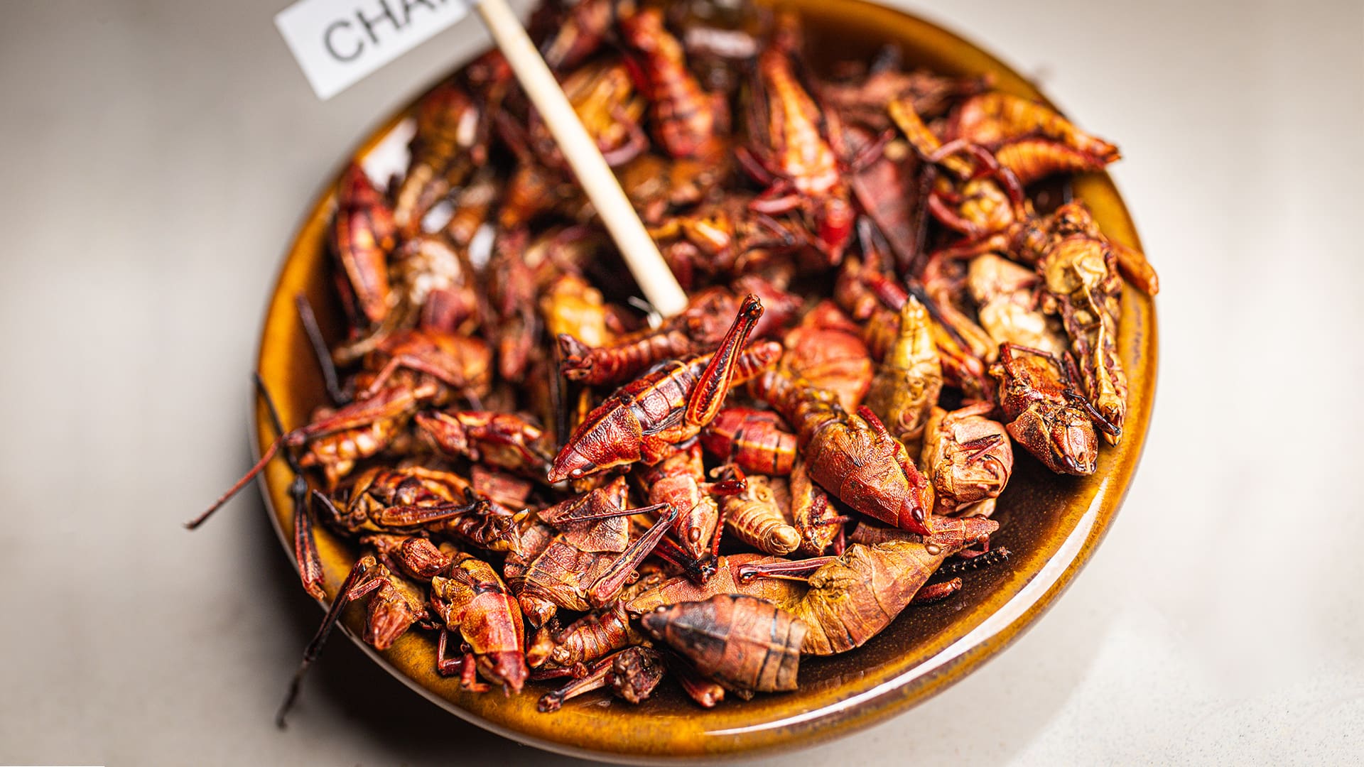 Chapulines: nutritiva y saltarina proteína de la cocina mexicana