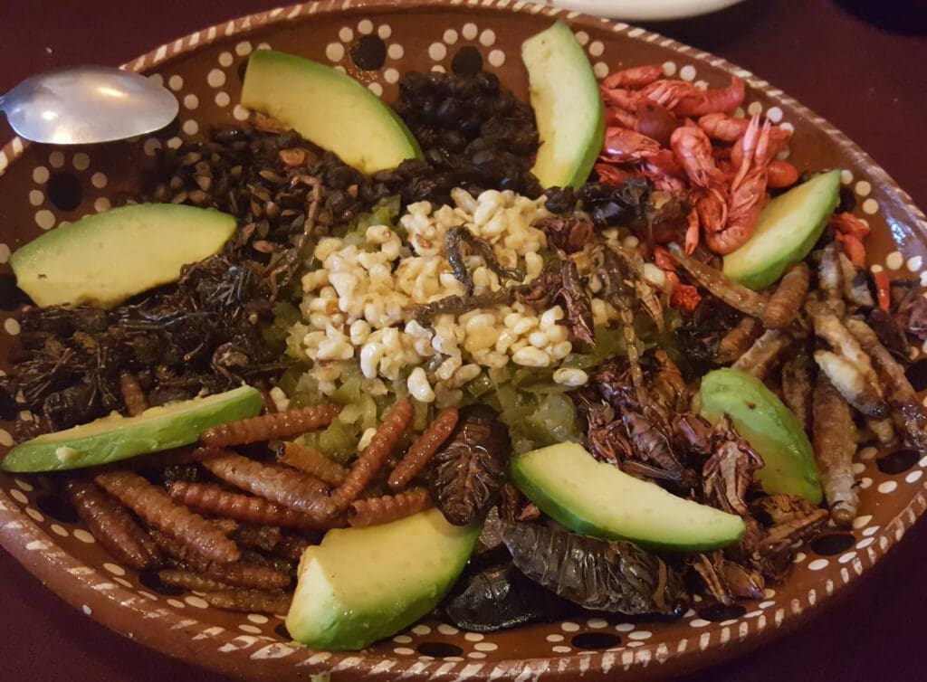 ¿Dónde comer insectos en CDMX? 8 deliciosas opciones