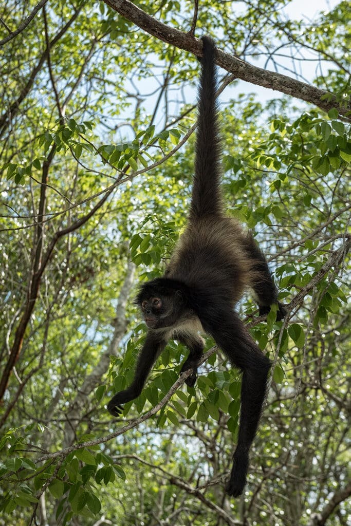 Campeche: lugares turísticos para una aventura en el corazón maya