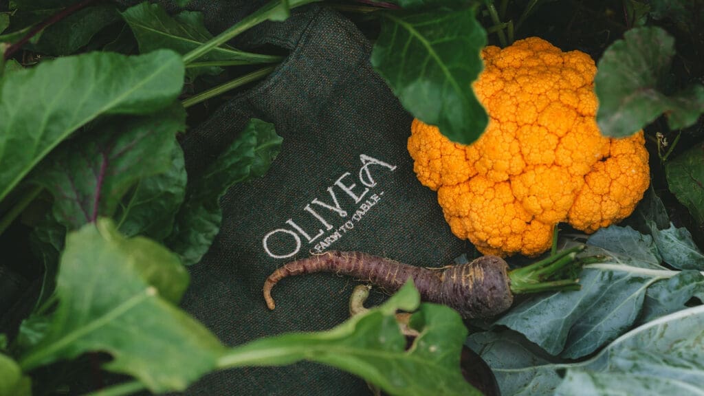 Olivea Farm to Table: del huerto a la mesa en Valle de Guadalupe