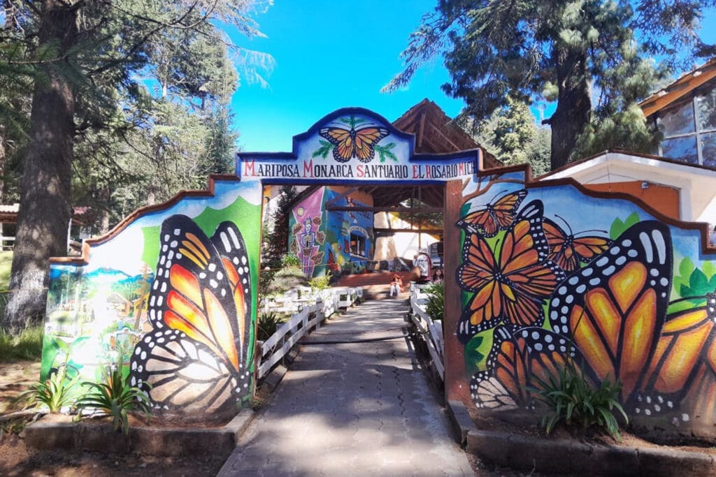 Santuarios de la mariposa monarca que puedes visitar en 2025