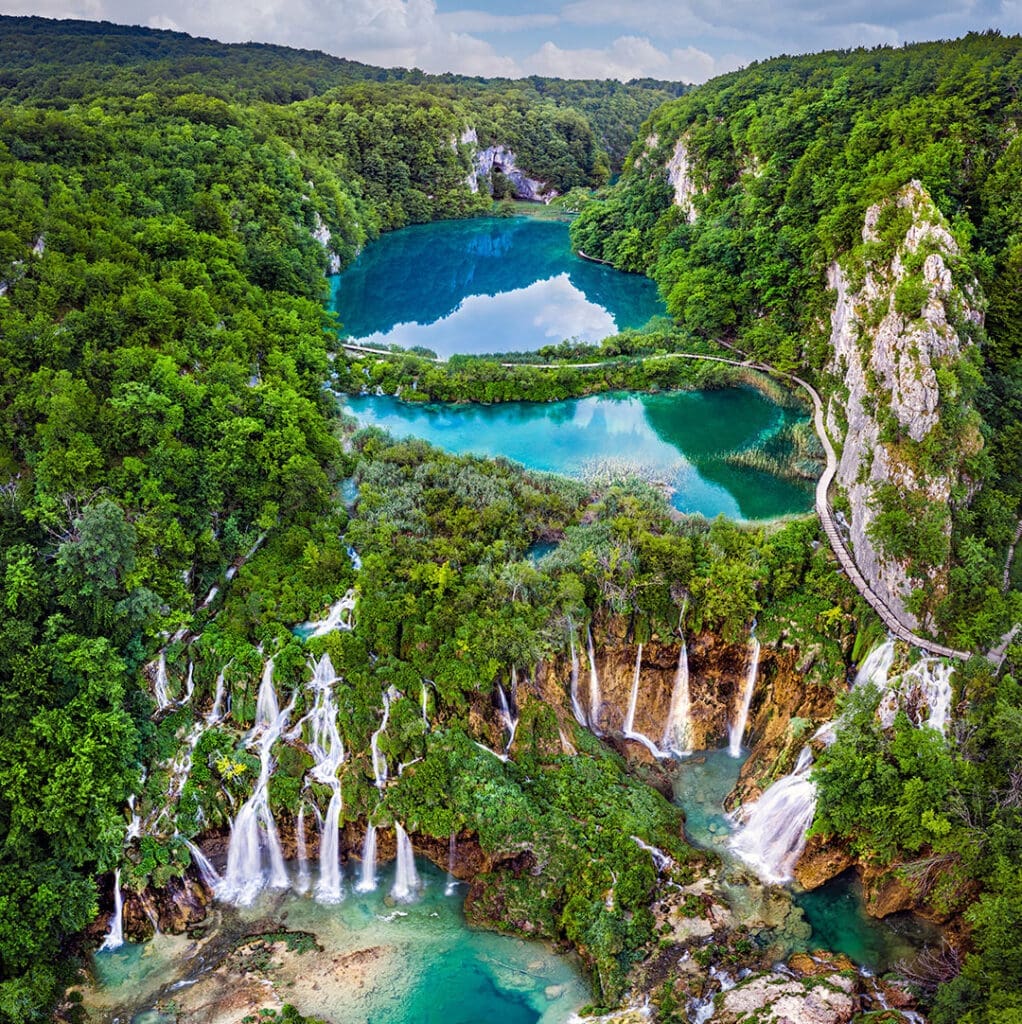 ¡Estos son los bosques más impresionantes del mundo!