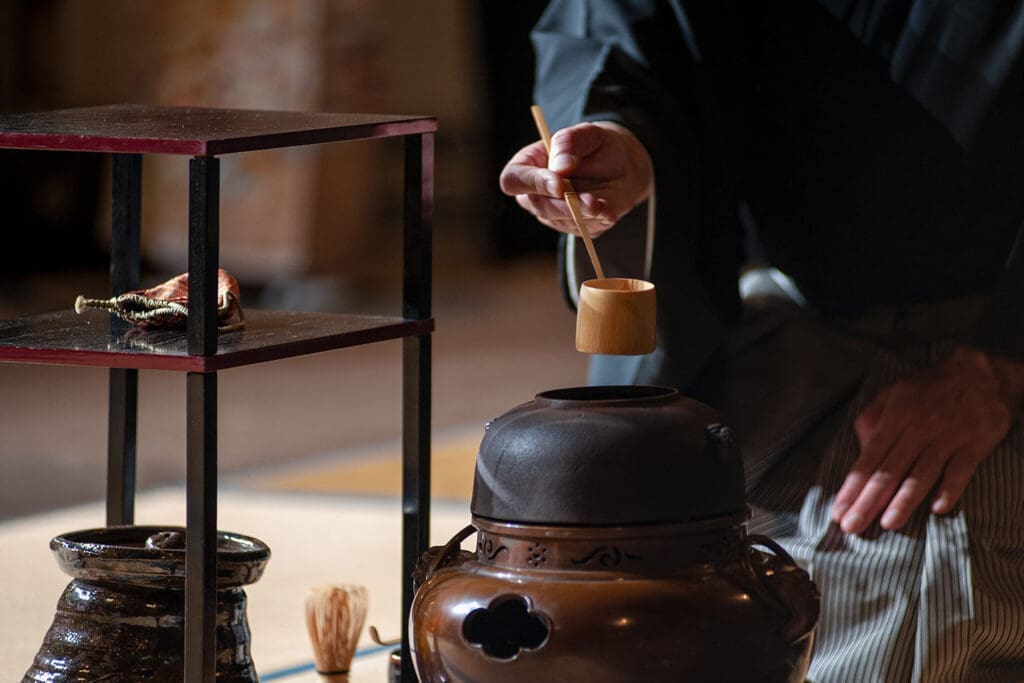 Té fermentado: conoce qué hace especial al hei cha de China