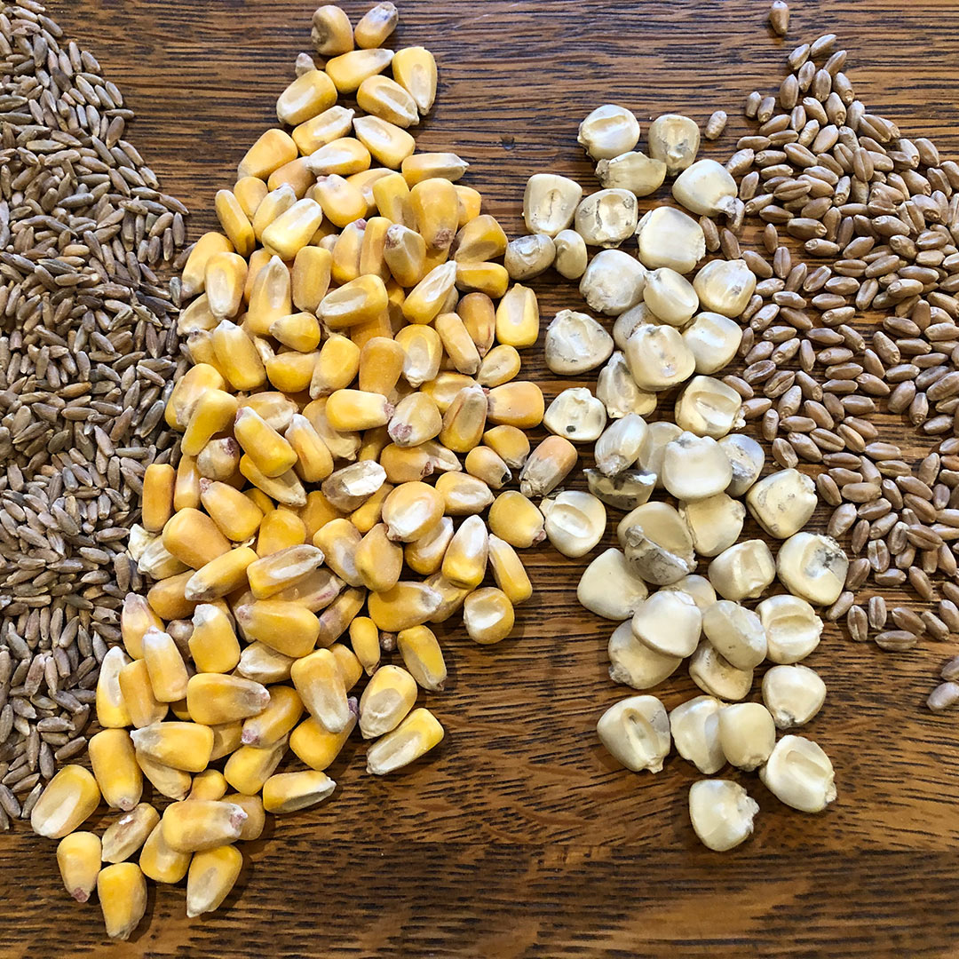 ¿Qué es el bourbon? 8 secretos de esta bebida con historia