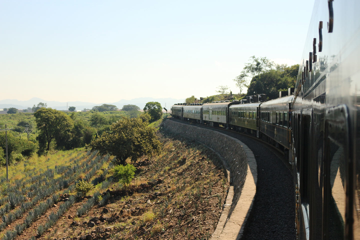 Tren a Tequila desde Guadalajara: cómo viajar y precios de 2025