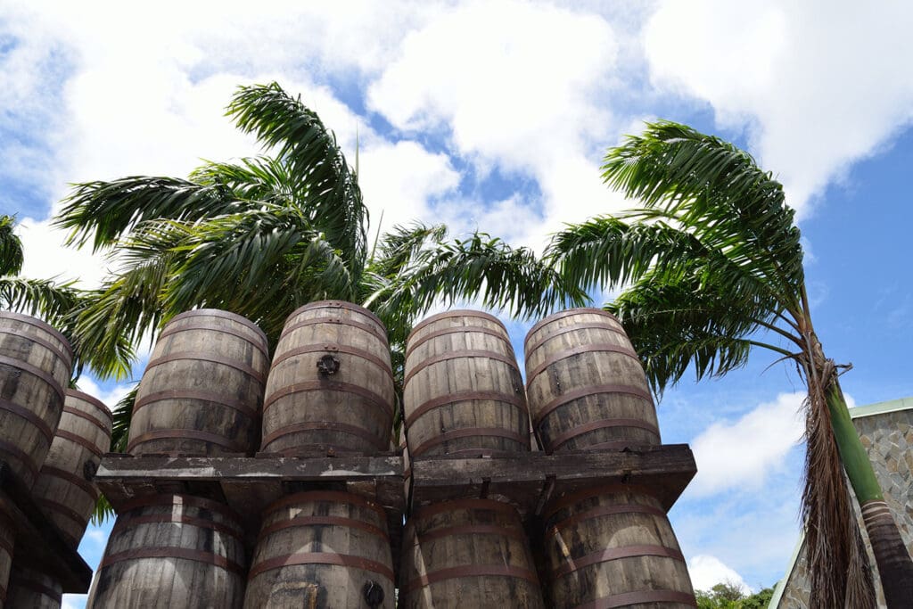 Curiosidades del ron: historia, origen y cocteles de esta bebida