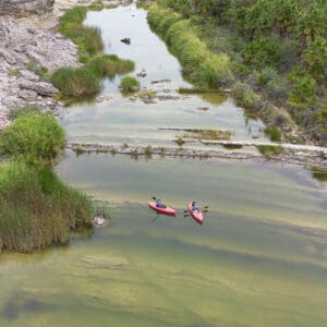 Comondú, Baja California Sur: road trip a este mágico lugar