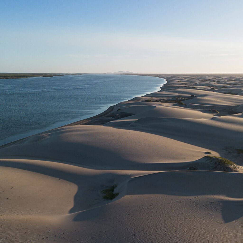 Comondú, Baja California Sur: road trip a este mágico lugar