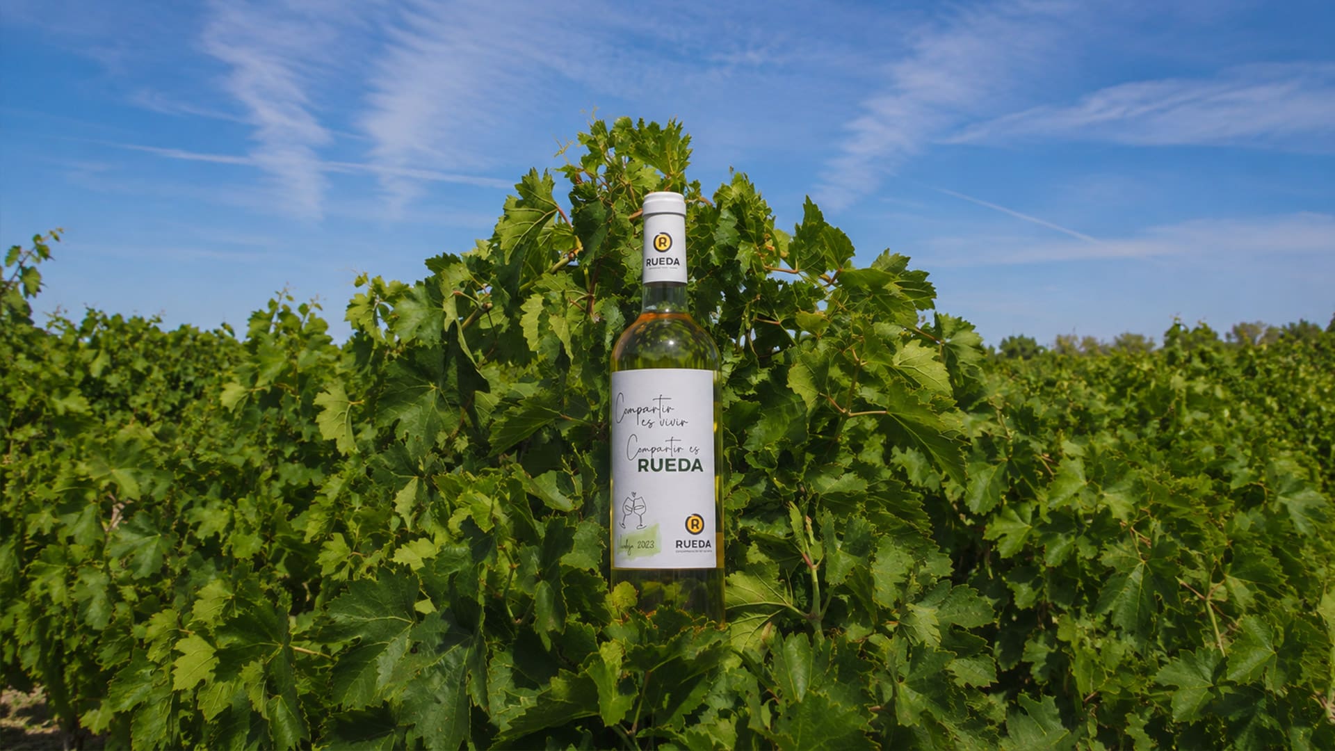 La D.O. Rueda en el Caribe Mexicano y el éxito de la uva verdejo